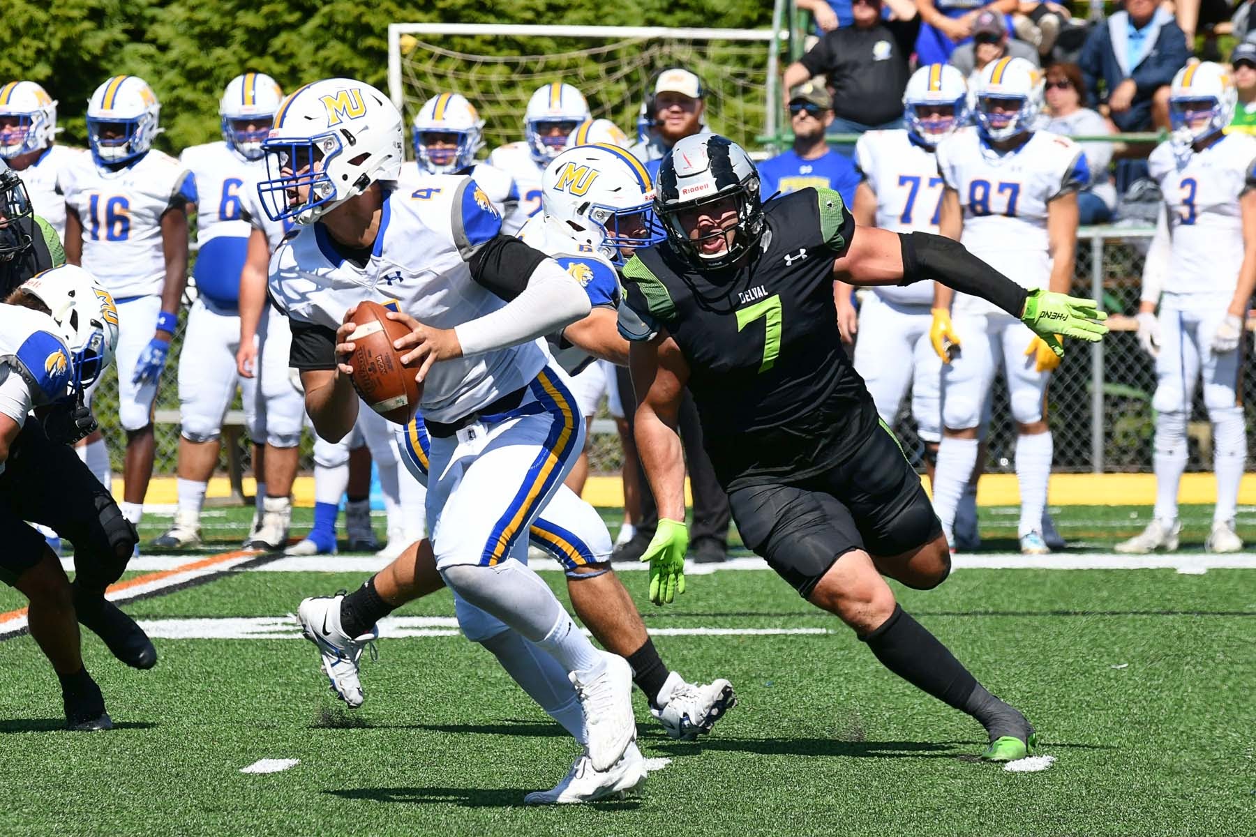 #11/#14 DelVal Football Rolls Over Misericordia At Home, 41-0 ...