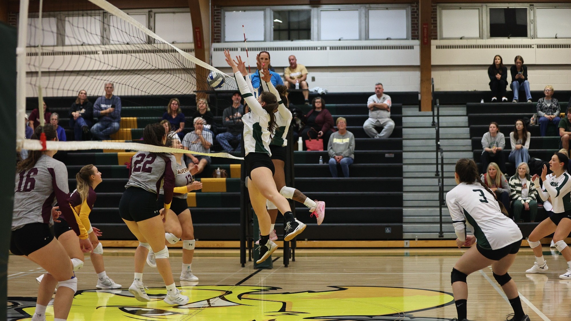 Aggies fall To Alvernia at Home - Delaware Valley University Athletics