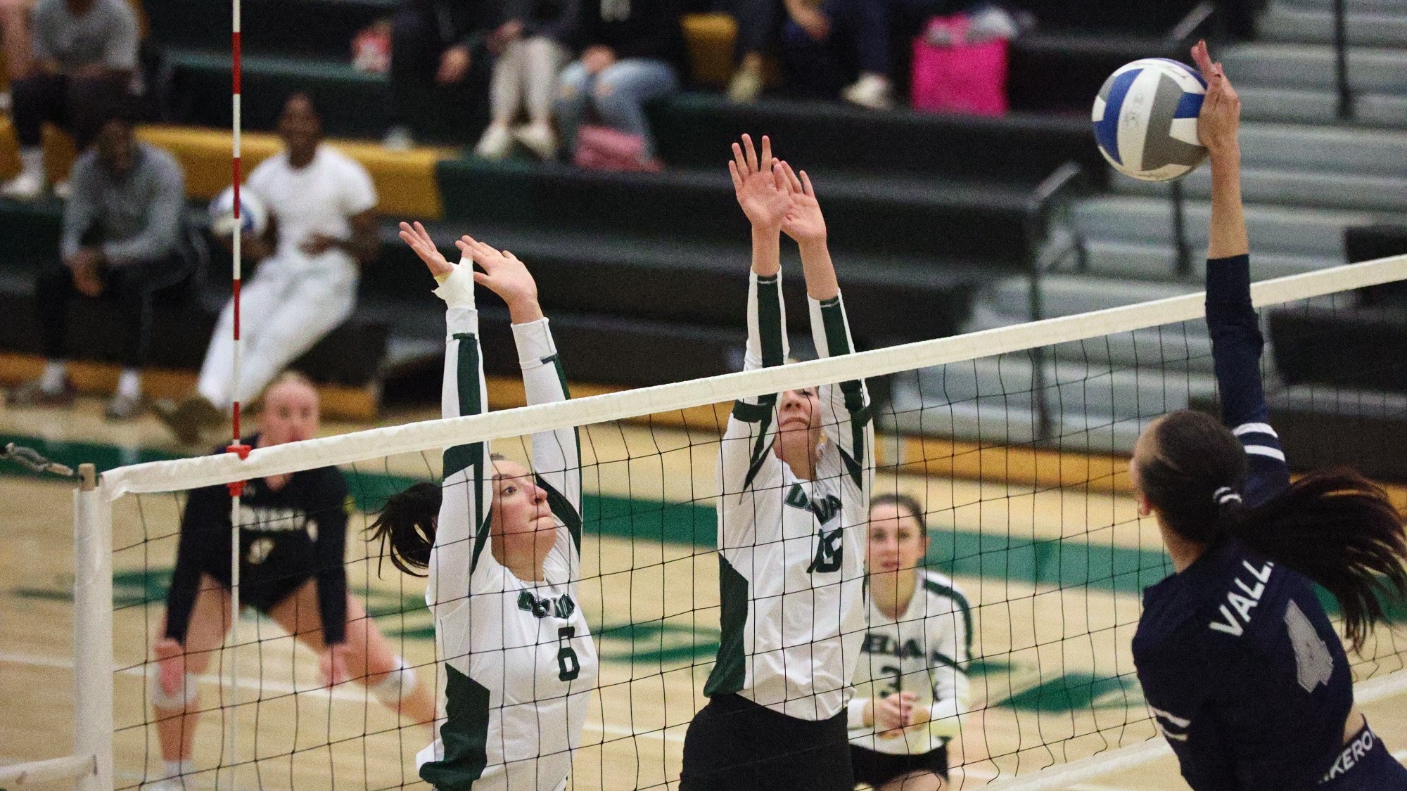 Aggies Drop Match to DeSales on Dig Pink Night - Delaware Valley ...