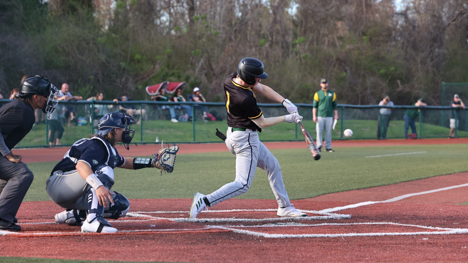 Andrew Panfile - Baseball - Delaware Valley University Athletics