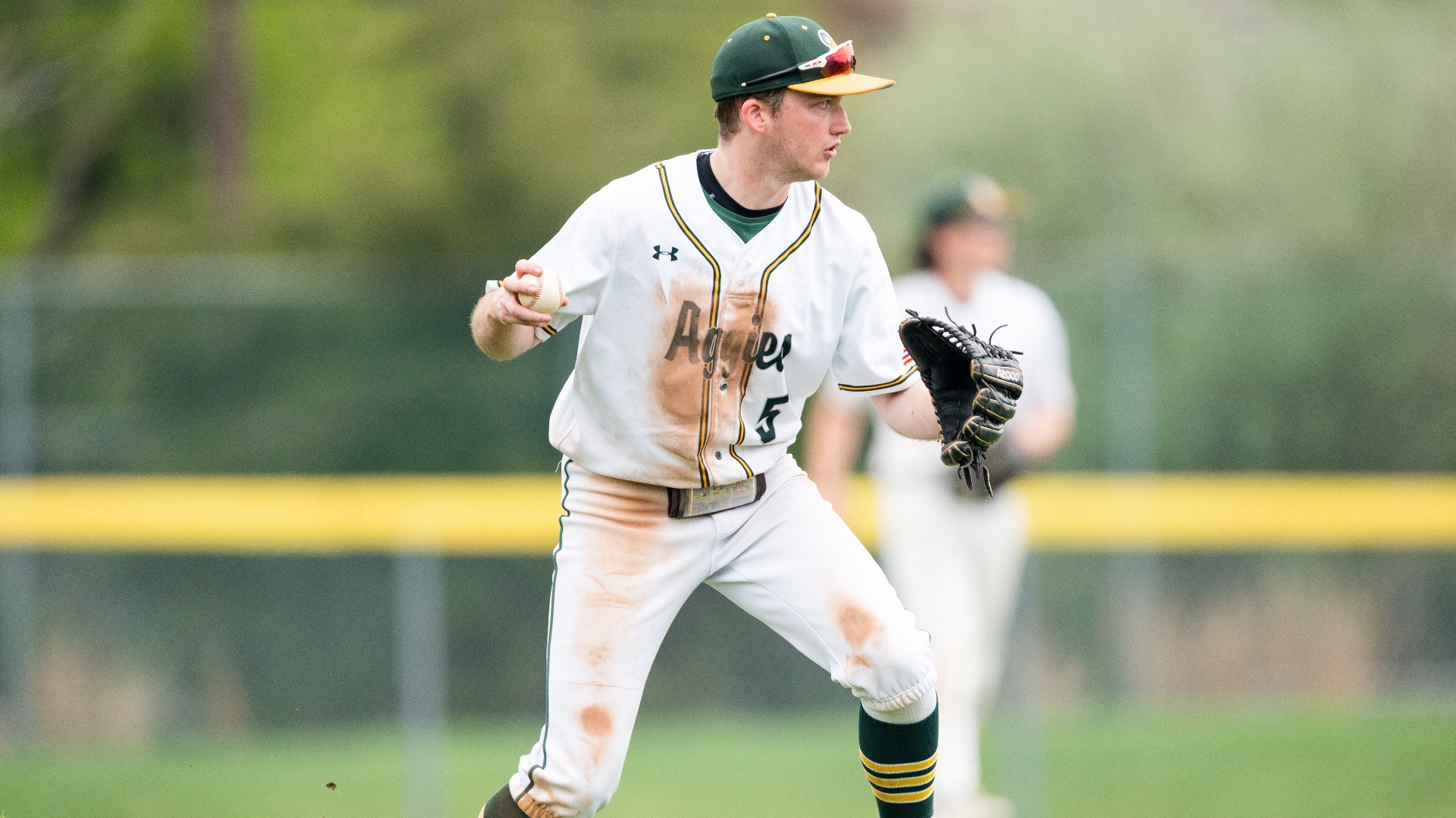 Bobby Bright - Baseball - Delaware Valley University Athletics