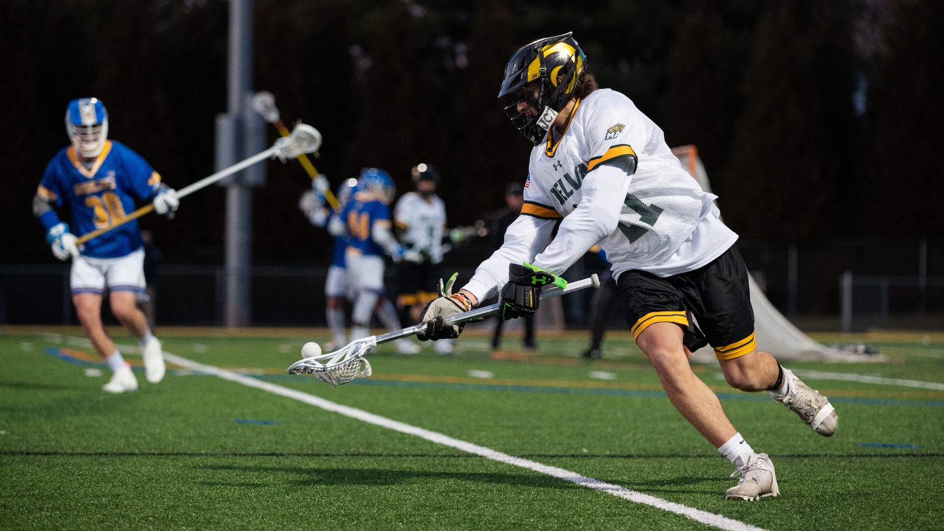 Daniel Aulisi - Men's Lacrosse - Delaware Valley University Athletics