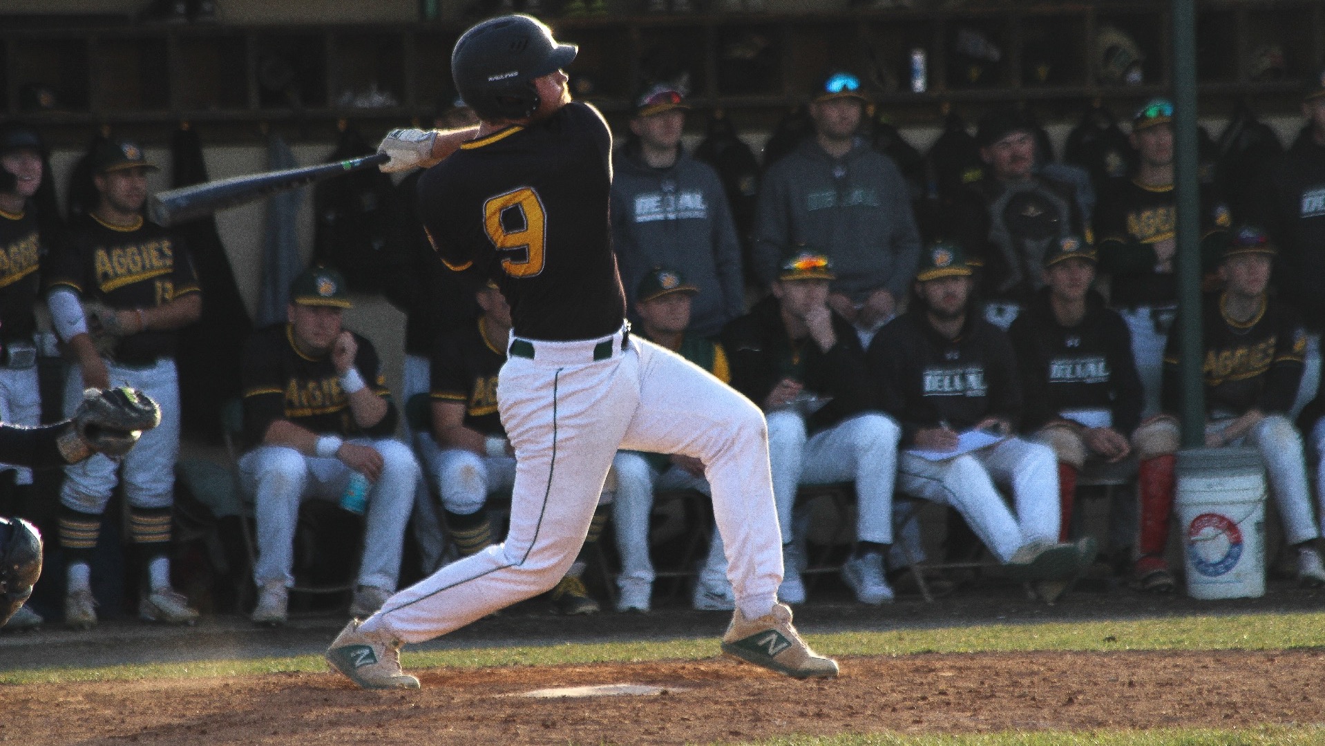 Evan Scally - Baseball - Delaware Valley University Athletics