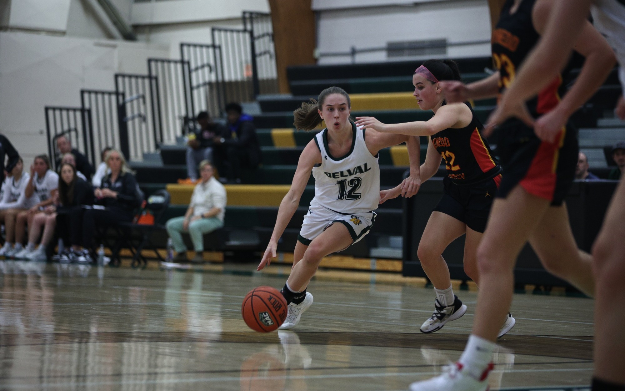 Women’s Basketball Falls on the Road to Lebanon Valley - Delaware ...