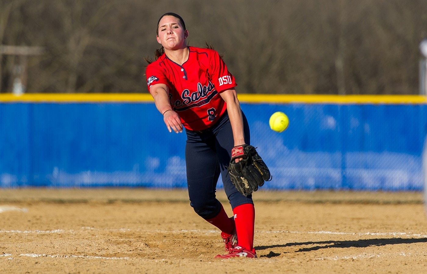 Andrea Artesani - Softball - DeSales University Athletics