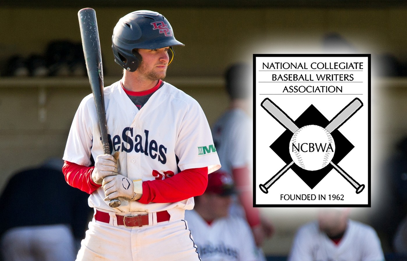 Tyler Sweeney - Baseball - DeSales University Athletics