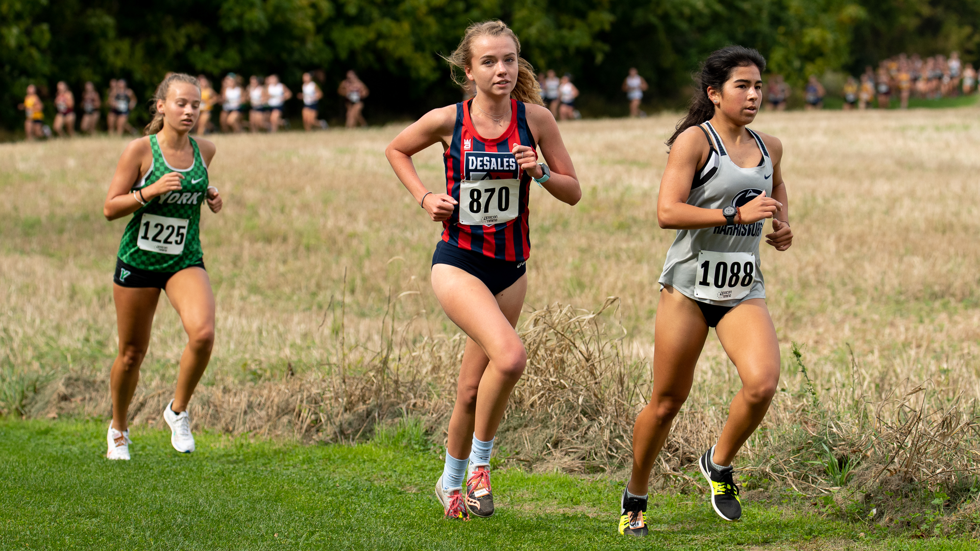 Amelia Smith - Women's Cross Country - DeSales University Athletics