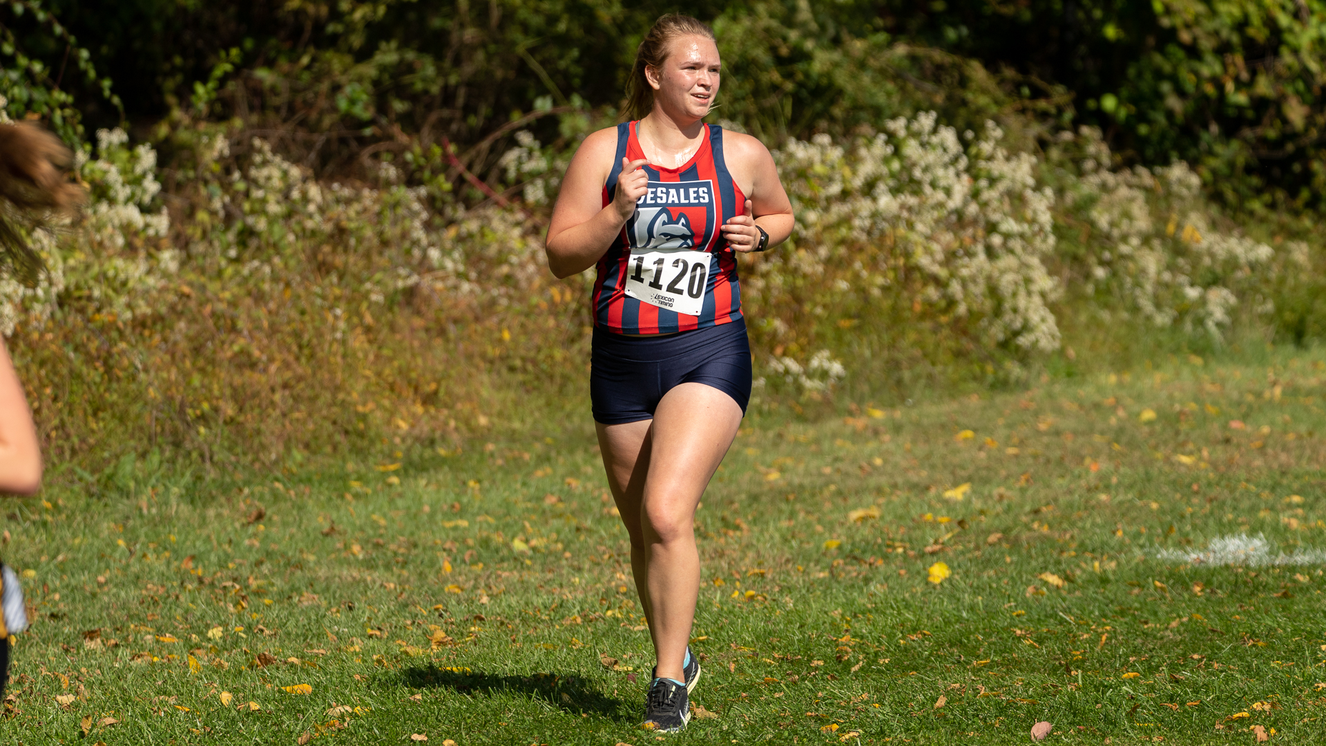 Hannah Postlethwait - Women's Cross Country - DeSales University Athletics
