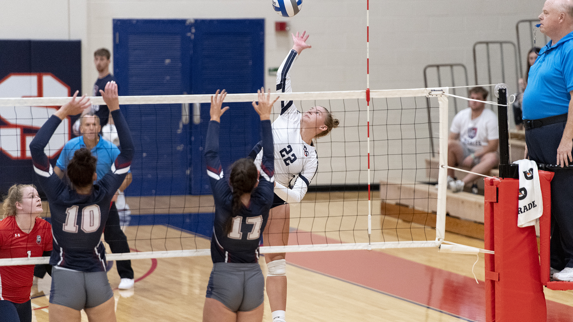 Abby Weise - Volleyball - DeSales University Athletics