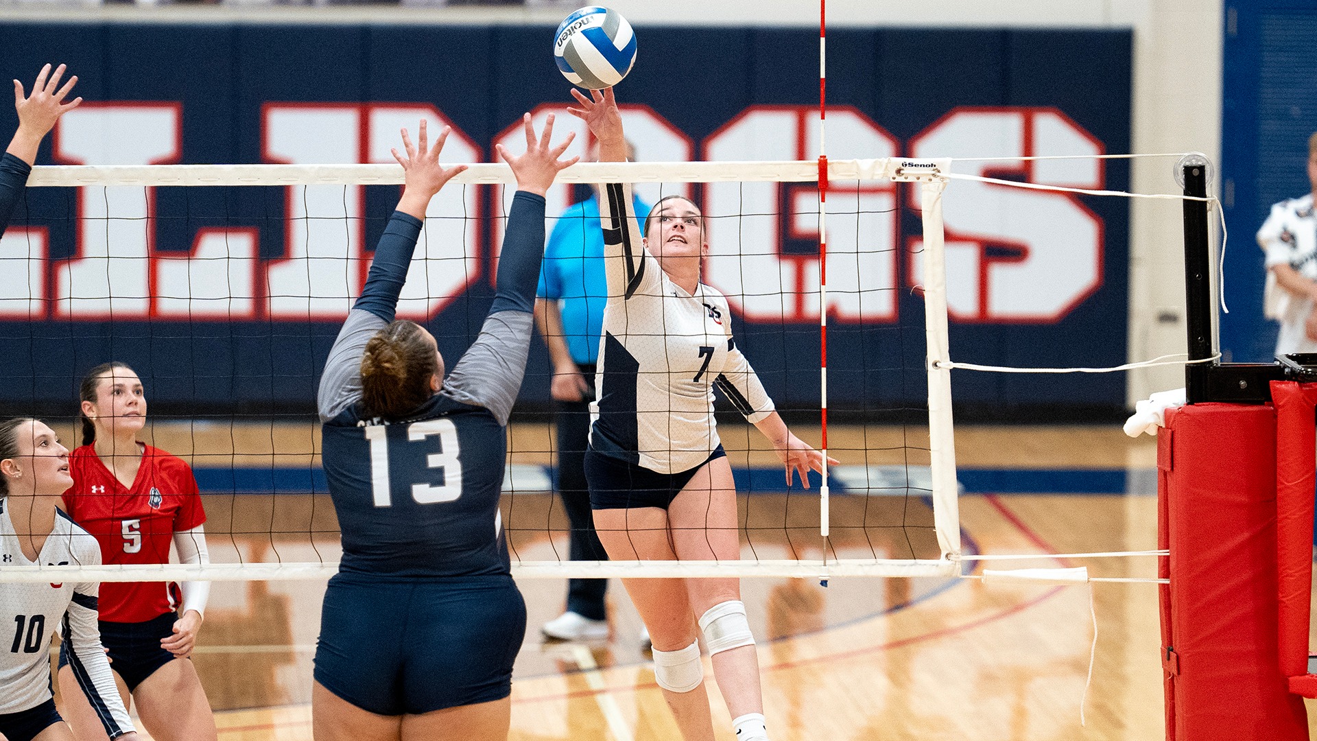 Delanie Zohler - Volleyball - DeSales University Athletics