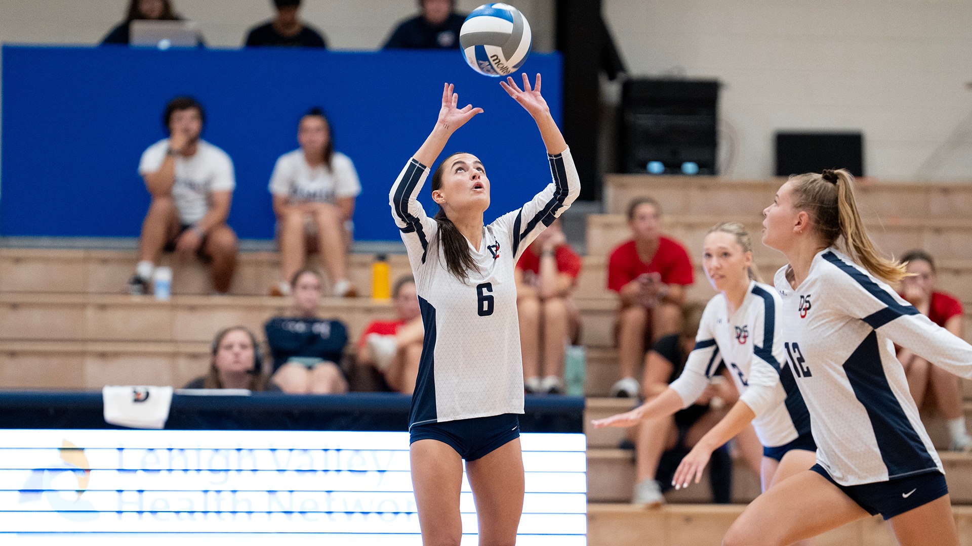 Grace Grandinetti - Volleyball - DeSales University Athletics
