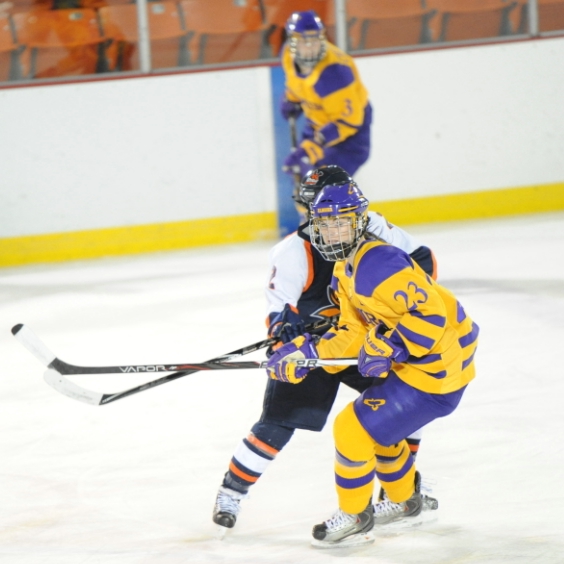 Caitlin Metcalf - 2012-13 - Women's Ice Hockey - Elmira College Athletics