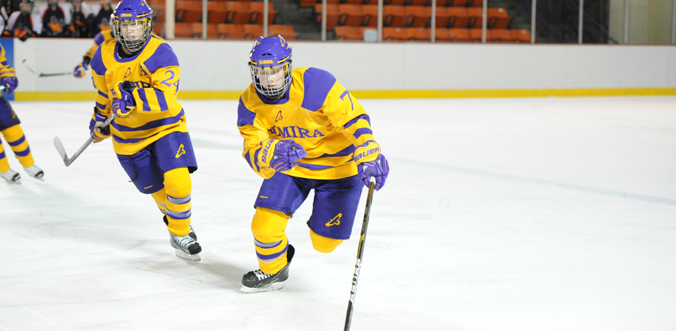 Katy Walker - 2011-12 - Women's Ice Hockey - Elmira College Athletics