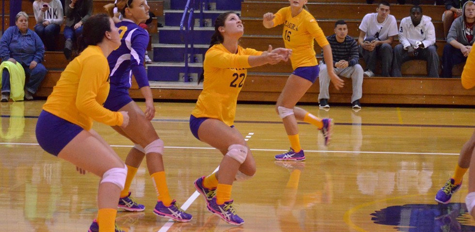 Kelsey Ross - 2015 - Women's Volleyball - Elmira College Athletics