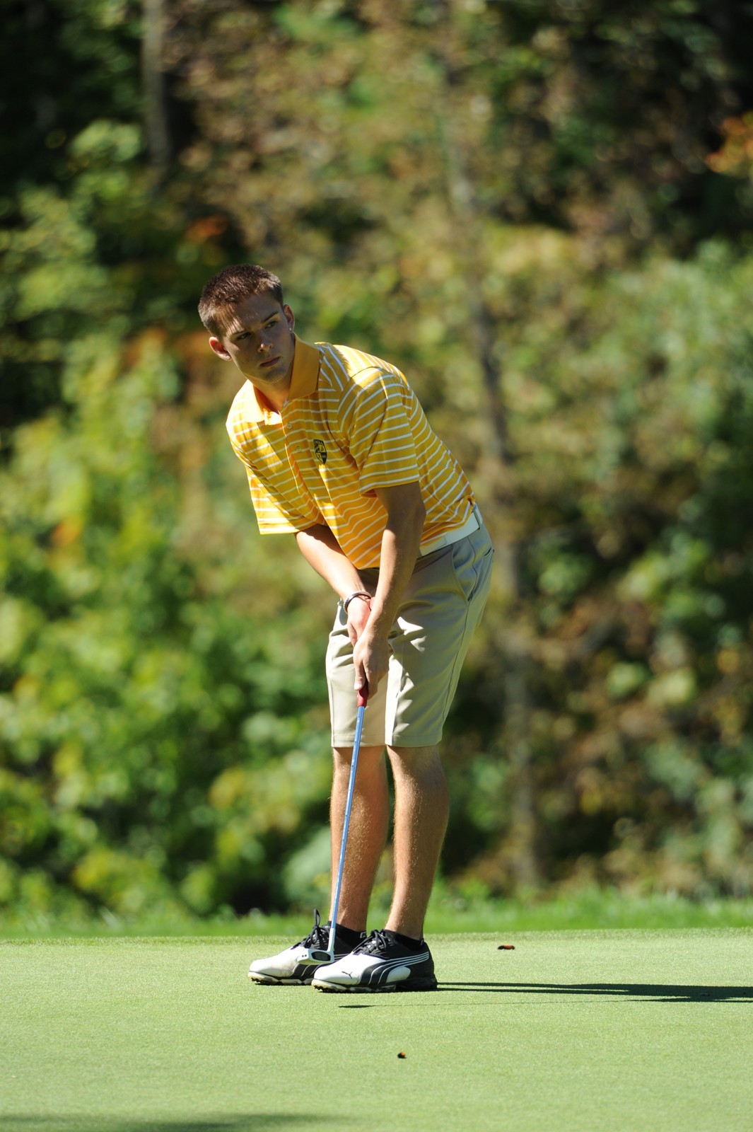 Jake Lawson - 2015-16 - Men's Golf - Elmira College Athletics