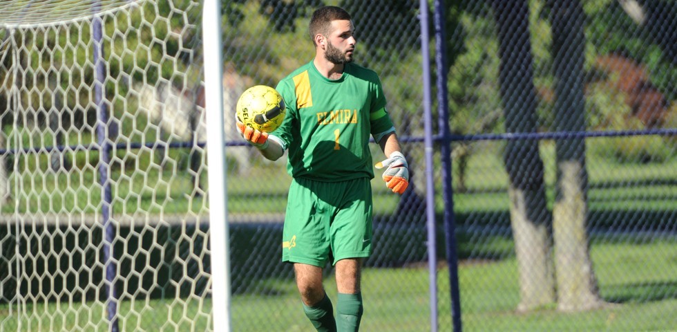 Austin Mansell - 2015 - Men's Soccer - Elmira College Athletics