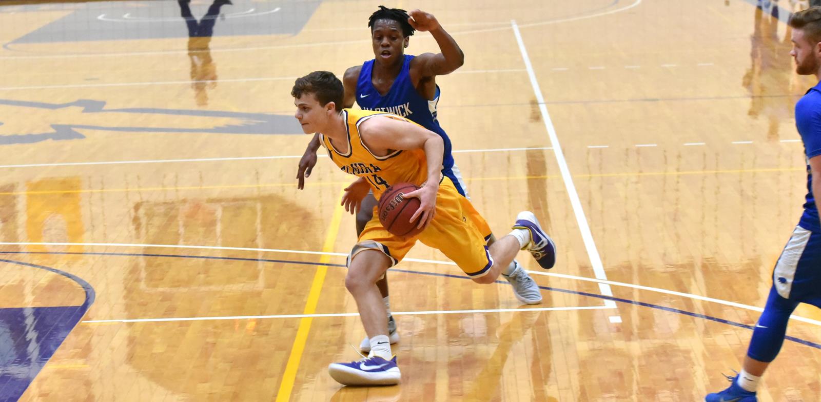 Andrew Ryan - 2017-18 - Men's Basketball - Elmira College Athletics