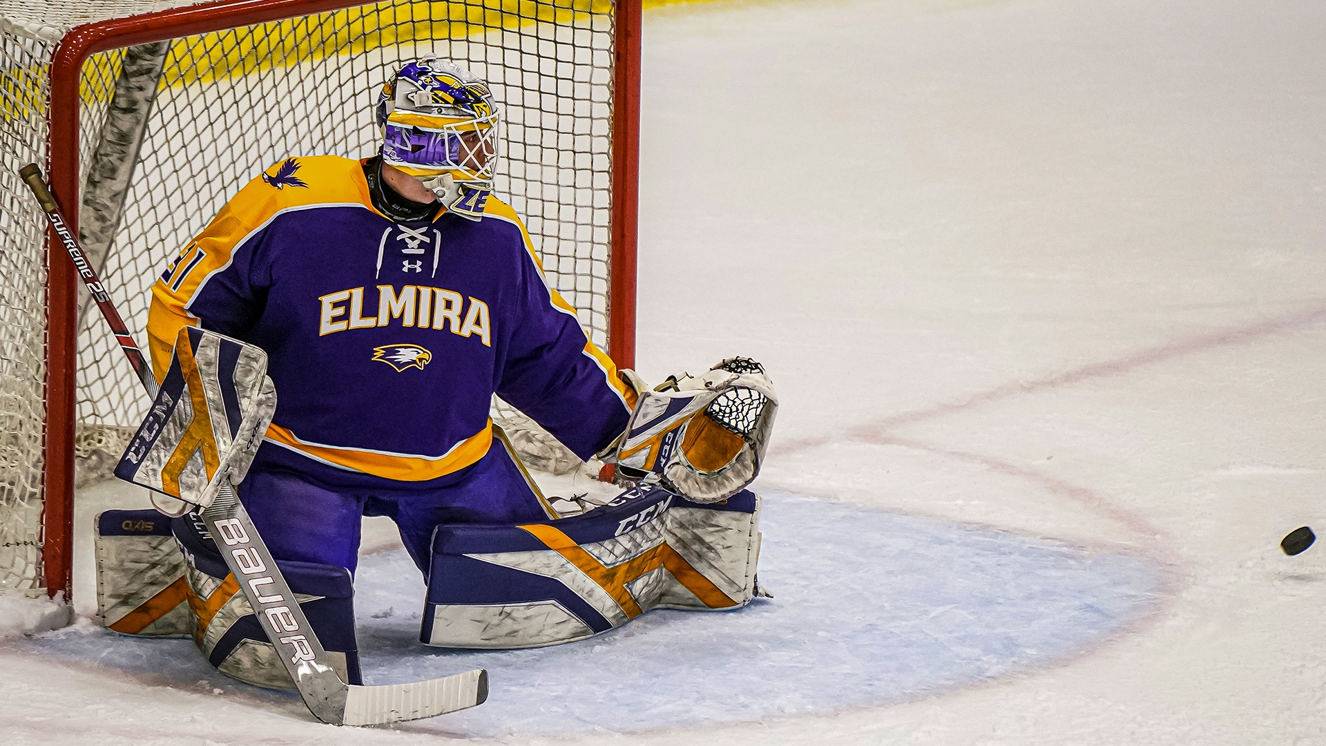 Jeffrey Zero - 2023-24 - Men's Ice Hockey - Elmira College Athletics