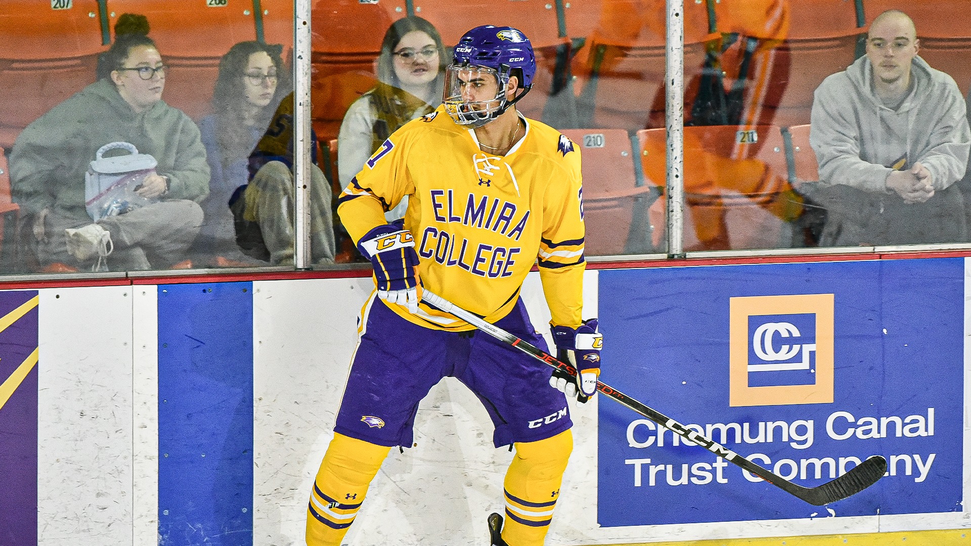 Kerfalla Toure - 2023-24 - Men's Ice Hockey - Elmira College Athletics