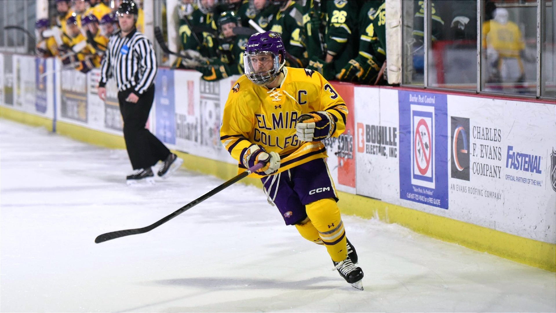 Daniel Dimon - 2023-24 - Men's Ice Hockey - Elmira College Athletics