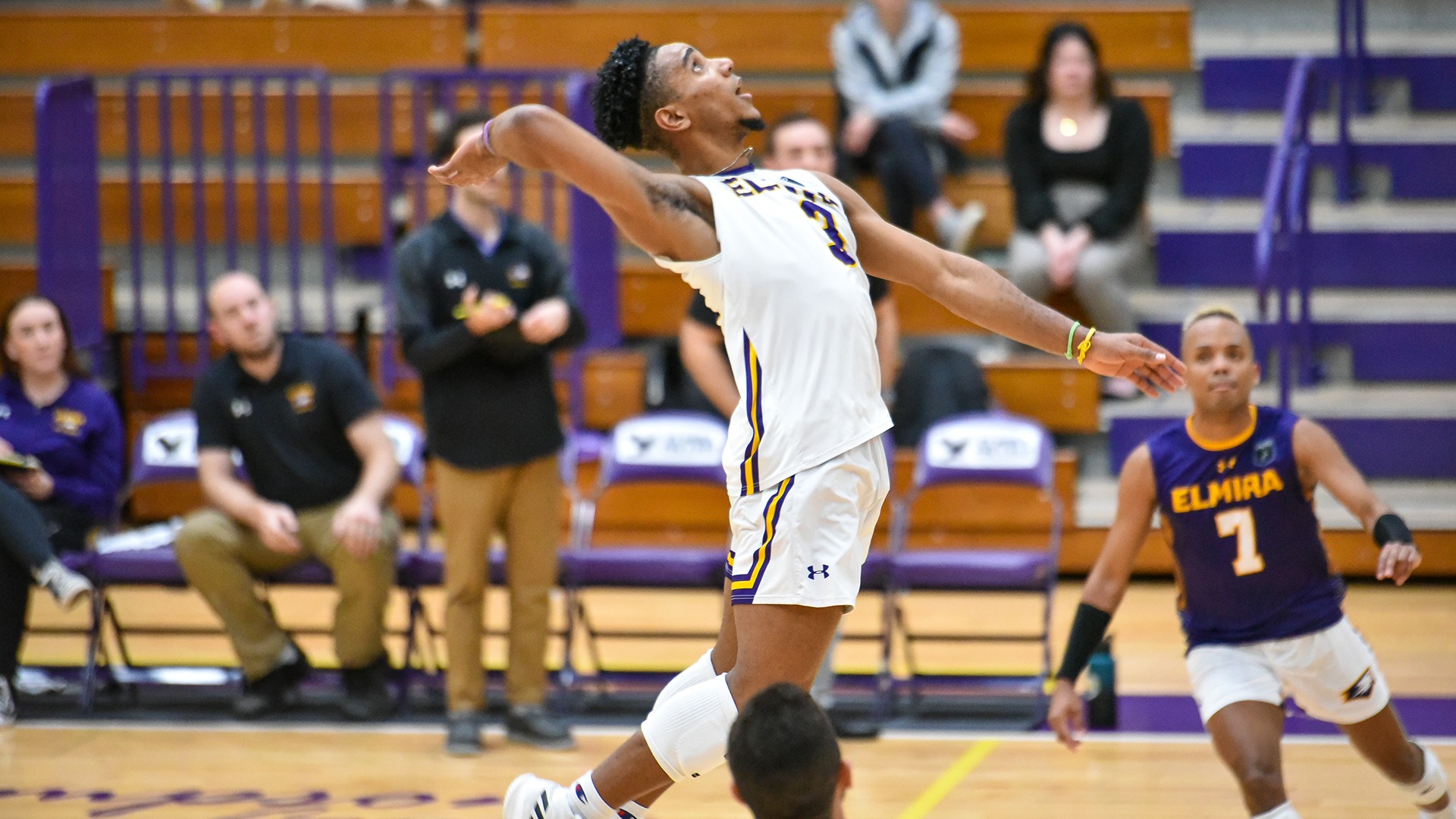 Alberto Mauricio - 2023 - Men's Volleyball - Elmira College Athletics