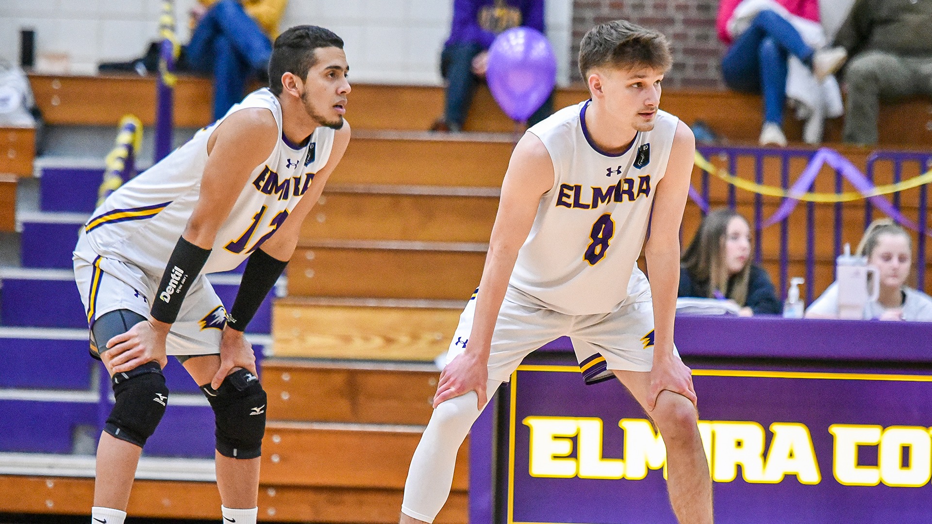 Ryan Mattes - 2023 - Men's Volleyball - Elmira College Athletics
