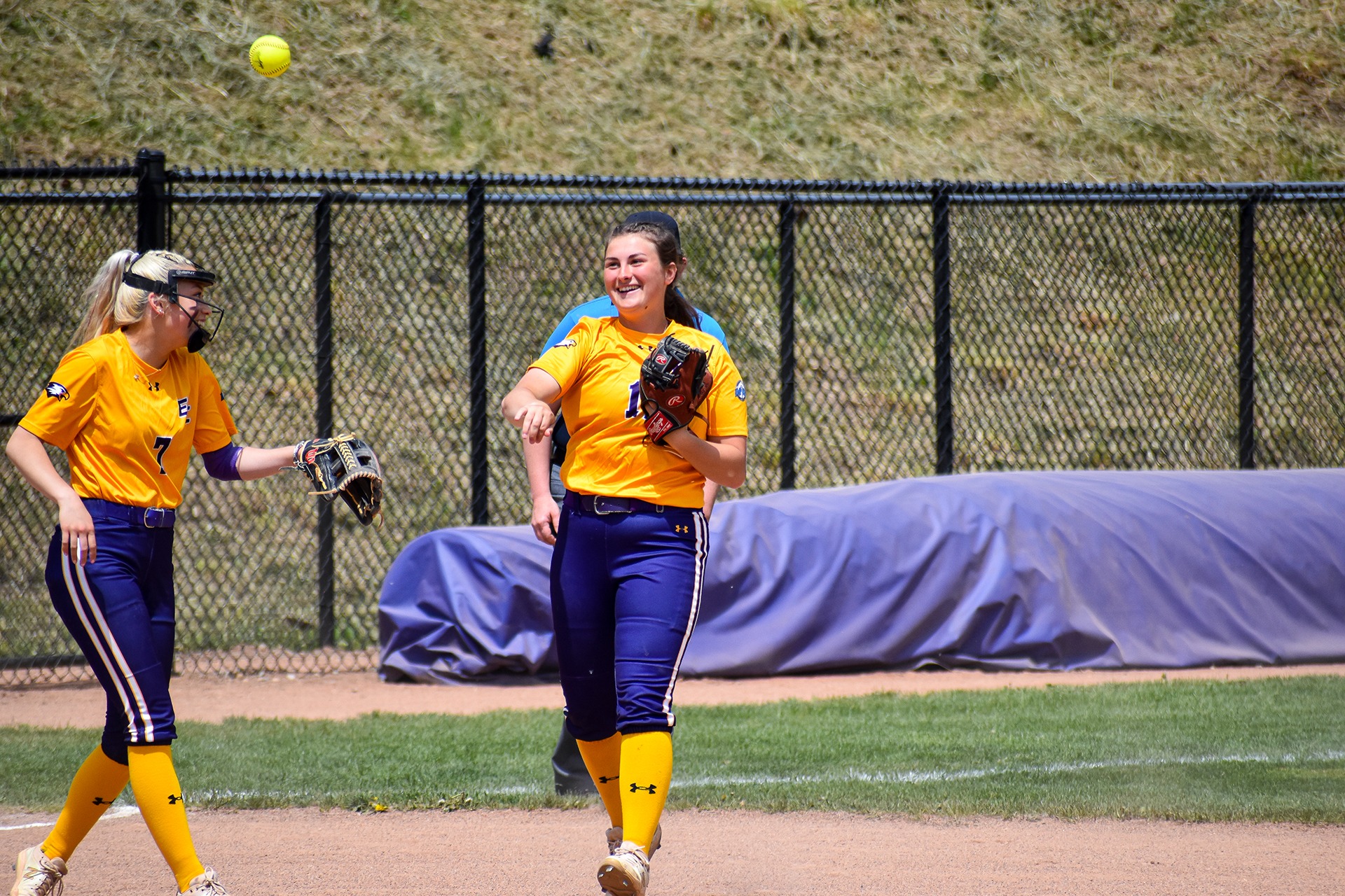 Elmira Softball Season Comes To An End Against Sage In E8 Championships ...