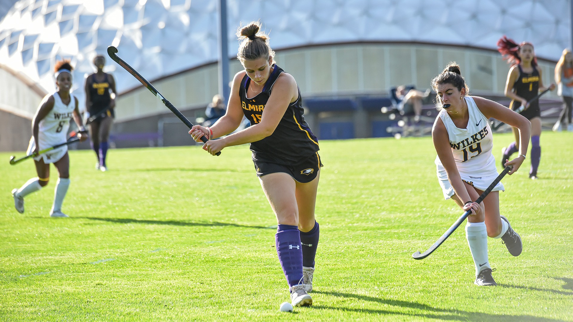 Mackenzie Malone - 2023 - Field Hockey - Elmira College Athletics