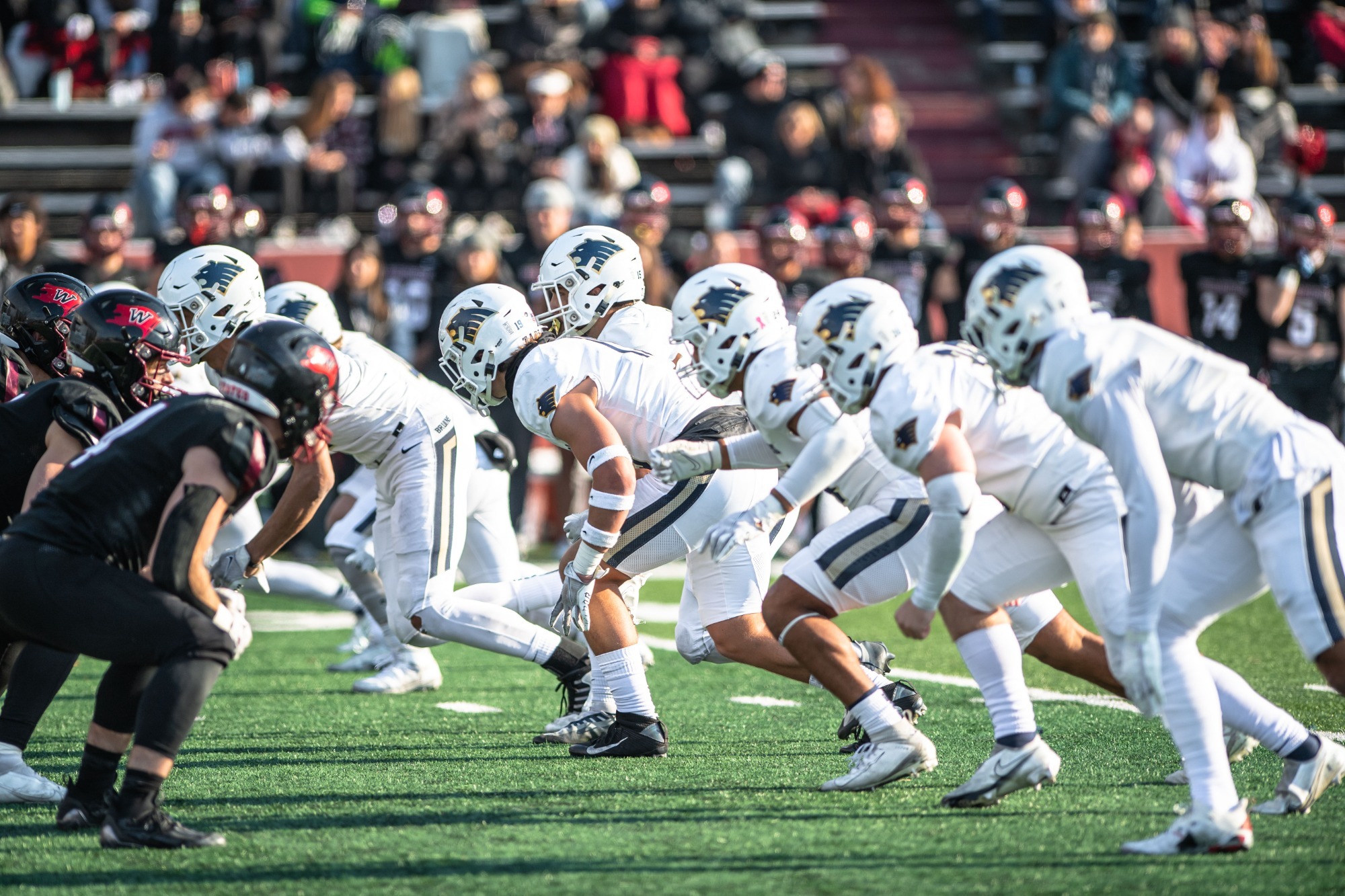 Schaan Earns Student-Athlete of the Week Award - George Fox University