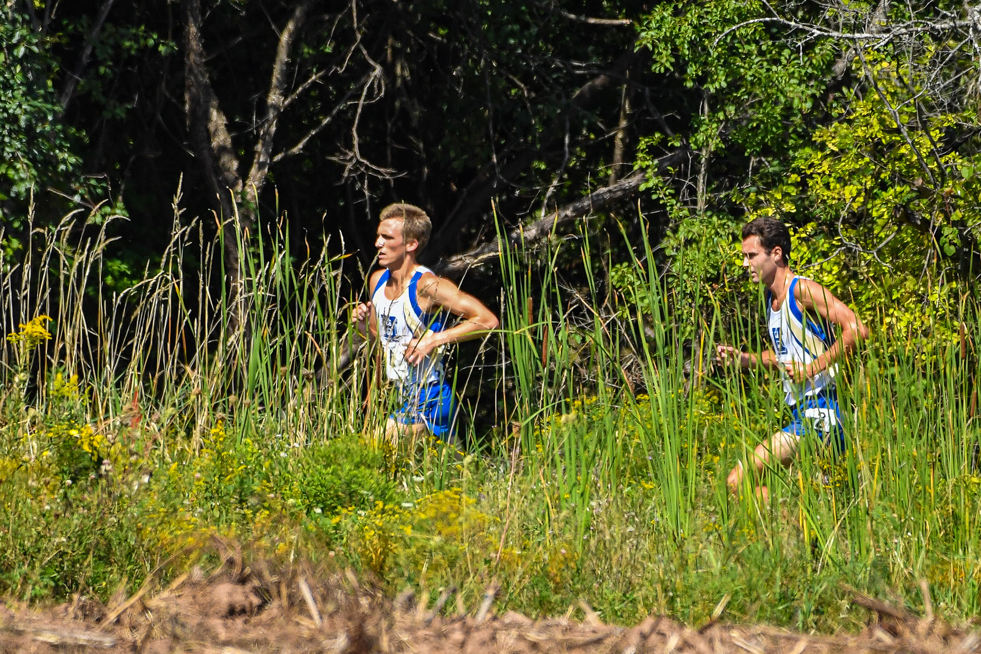 Men's cross country runners-up at Lehigh's Paul Short Run - Hamilton ...