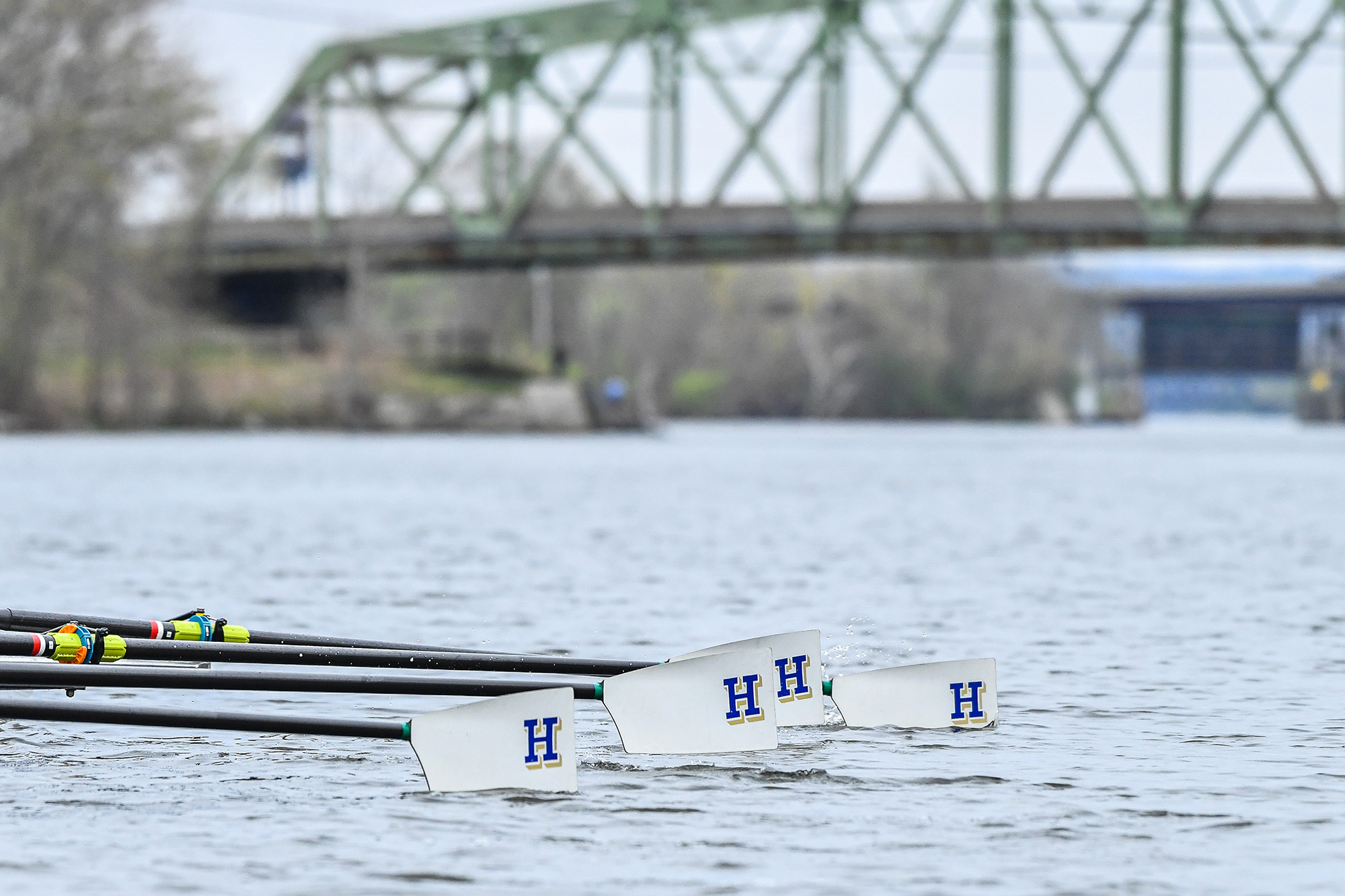 Eight members of women's rowing team are scholar athletes - Hamilton ...