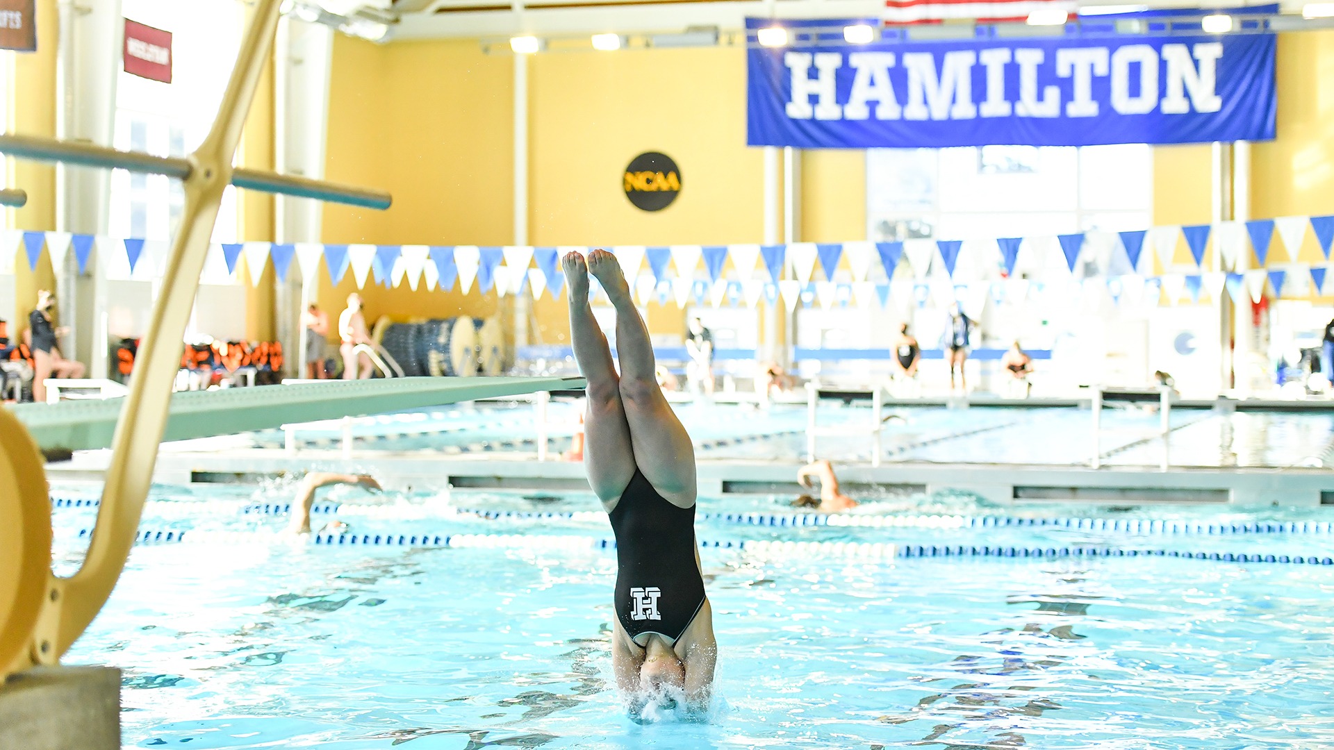 Swimming and diving program collects fall all-academic honors ...