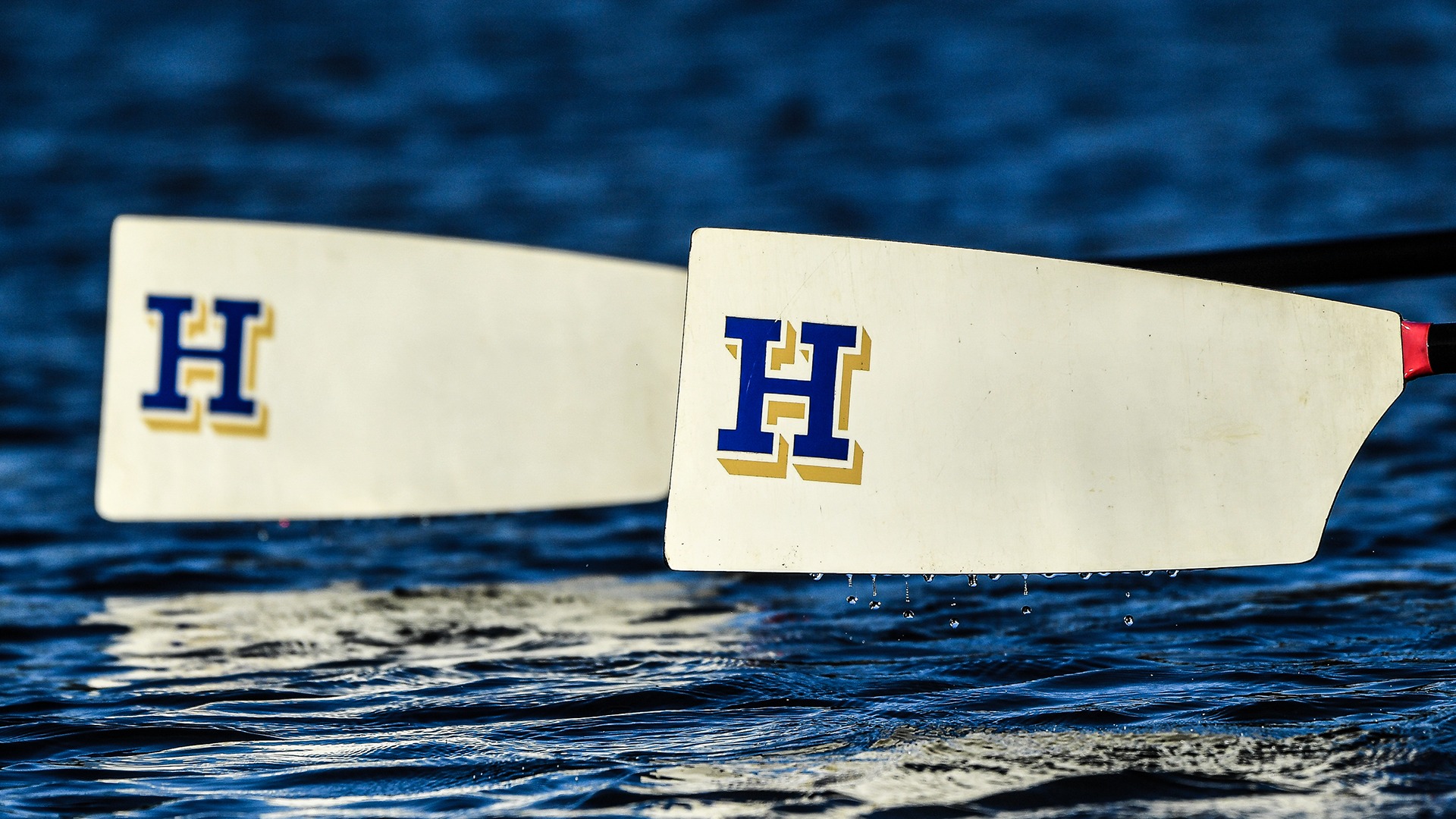 No. 9 women's rowing opens spring racing at Cayuga Duals - Hamilton College