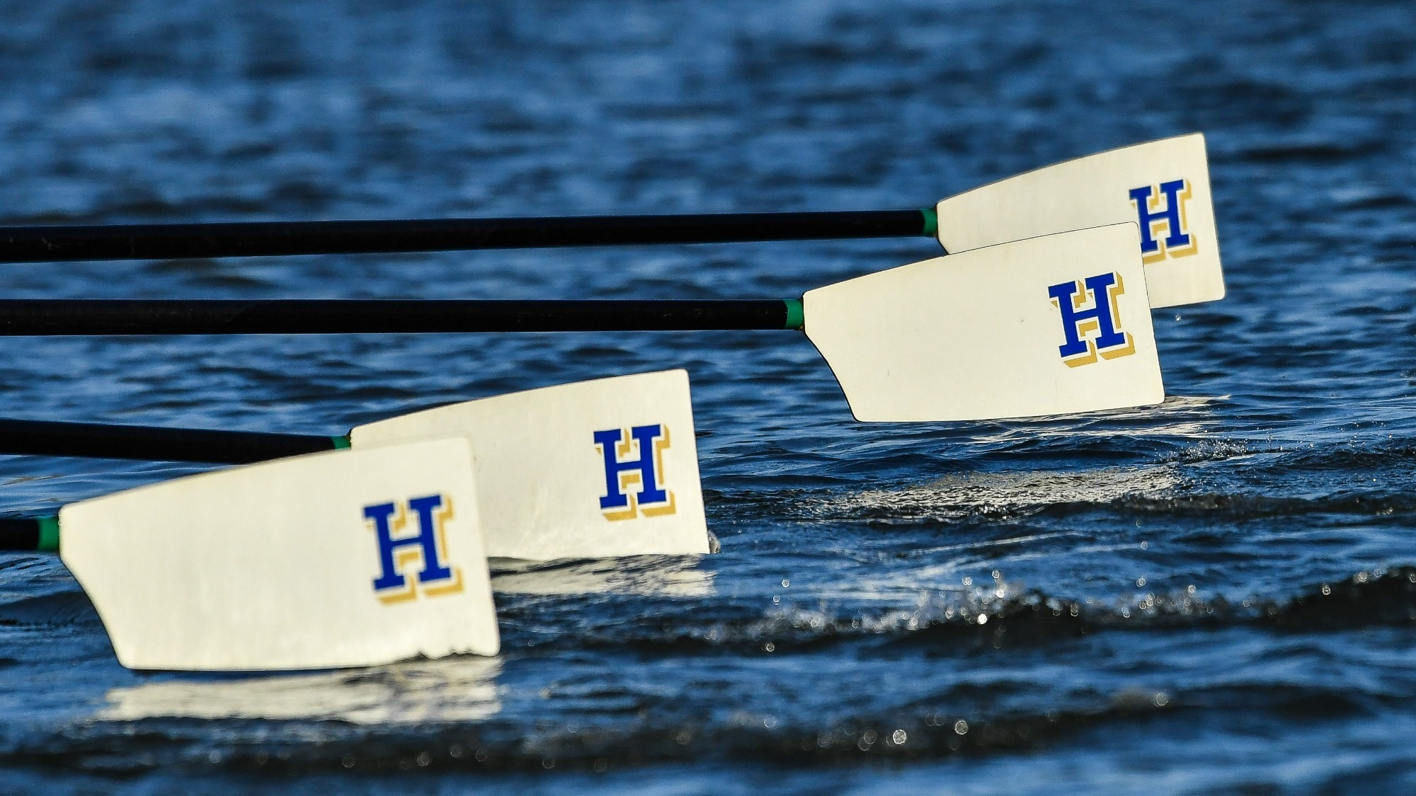 Rowing student athletes receive multiple academic team honors ...