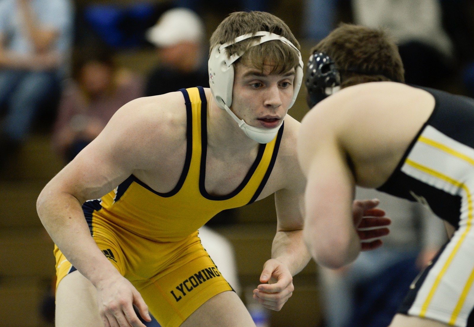 Caleb Willey - 2014-15 - Wrestling - Lycoming College Athletics