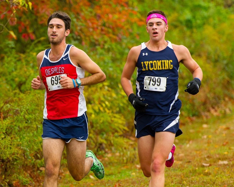 James Hamm - 2015 - Men's Cross Country - Lycoming College Athletics