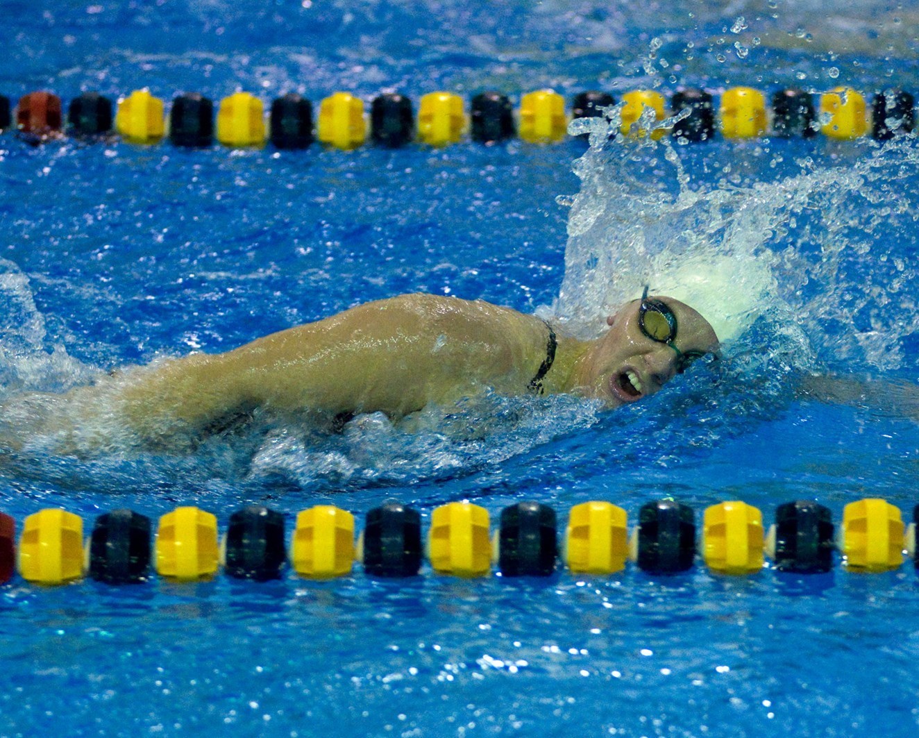 Brigid Clark - 2014-15 - Women's Swimming - Lycoming College Athletics