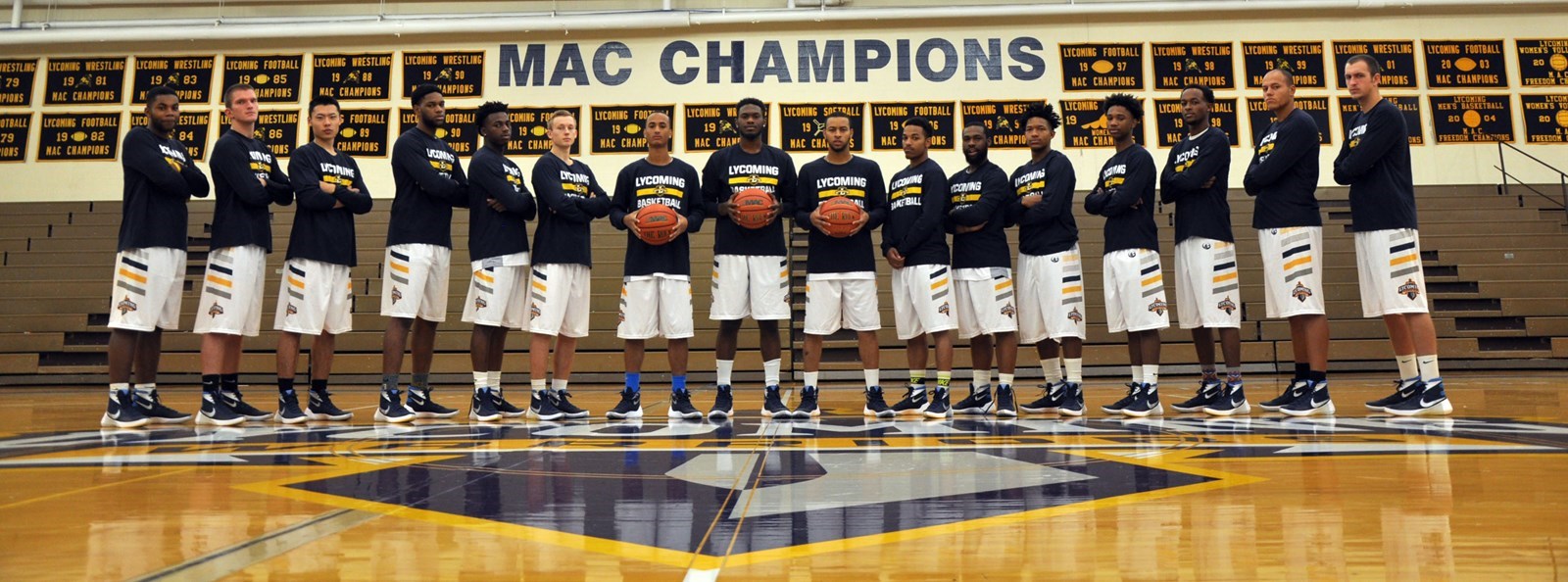 Johan Hammarstedt - 2015-16 - Men's Basketball - Lycoming College Athletics