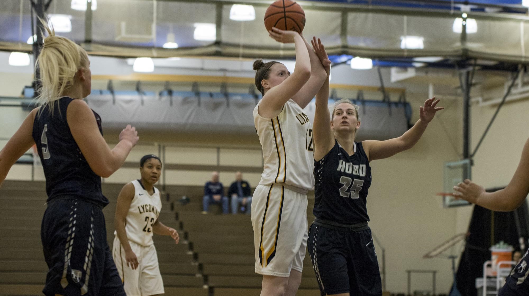 Haley Sipple - 2017-18 - Women's Basketball - Lycoming College Athletics