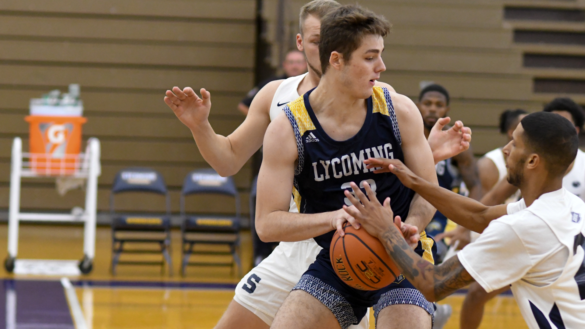 Warriors down Lions in season opener, 85-66 - Lycoming College Athletics