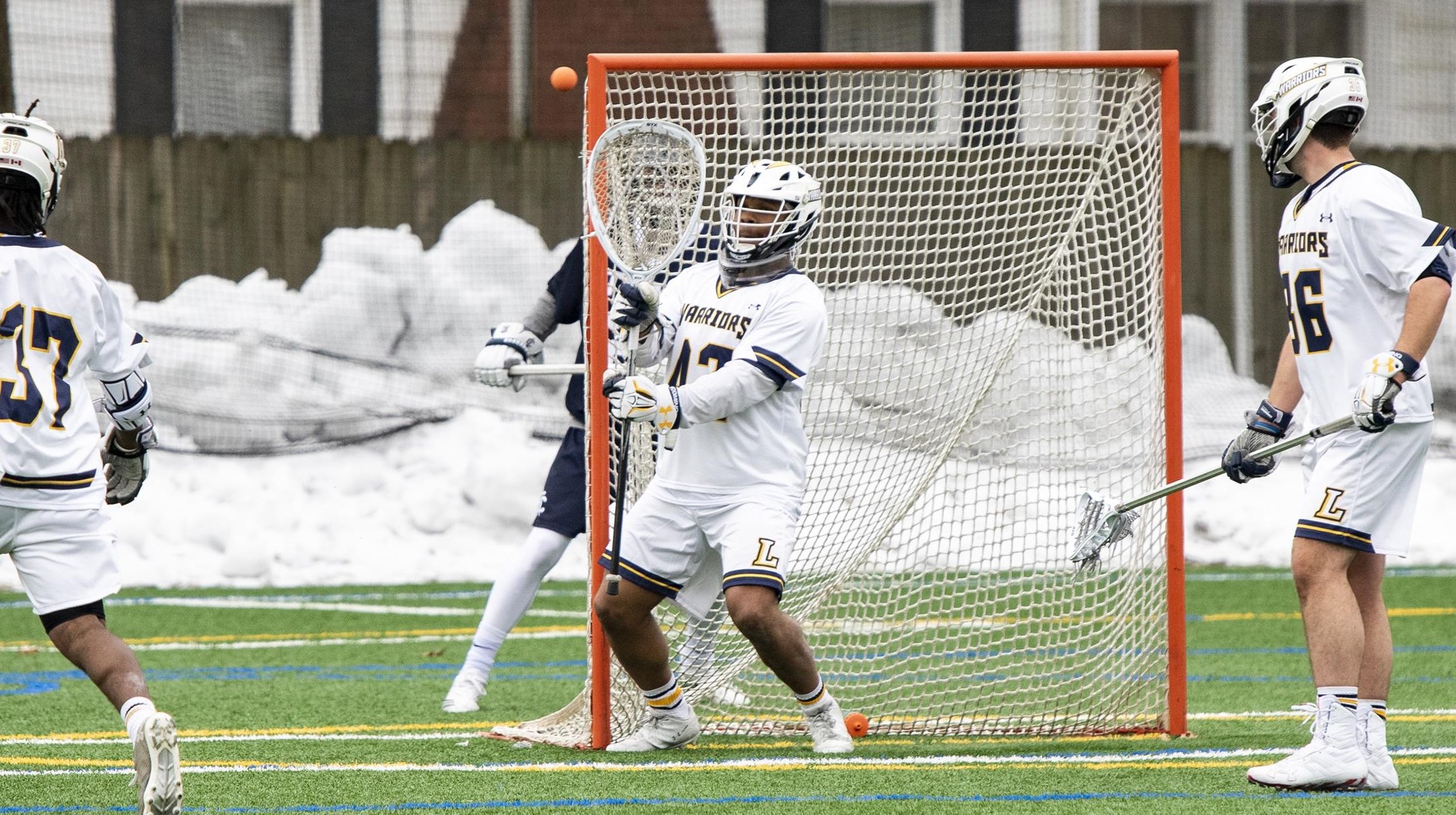 Michael Tenant - 2019 - Men's Lacrosse - Lycoming College Athletics