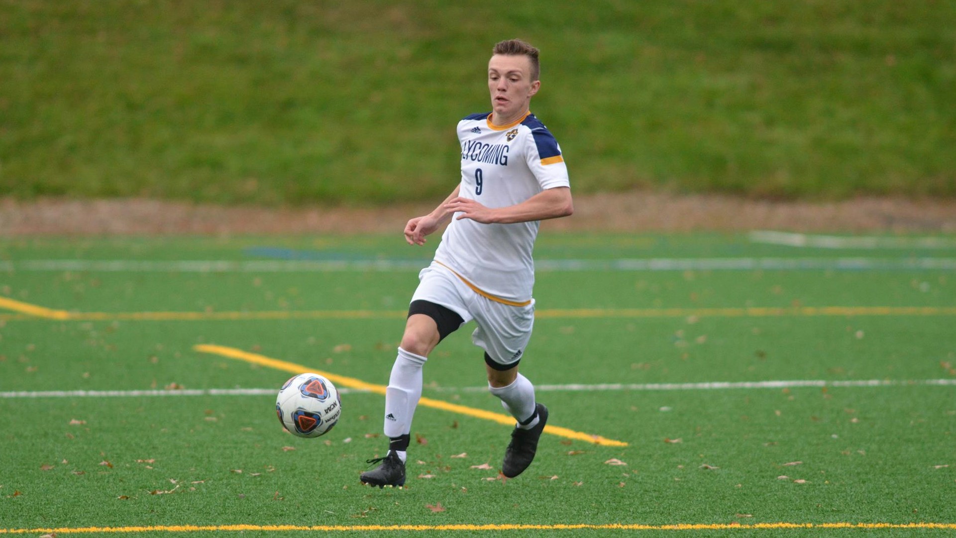 Alex Henry - 2020 - Men's Soccer - Lycoming College Athletics
