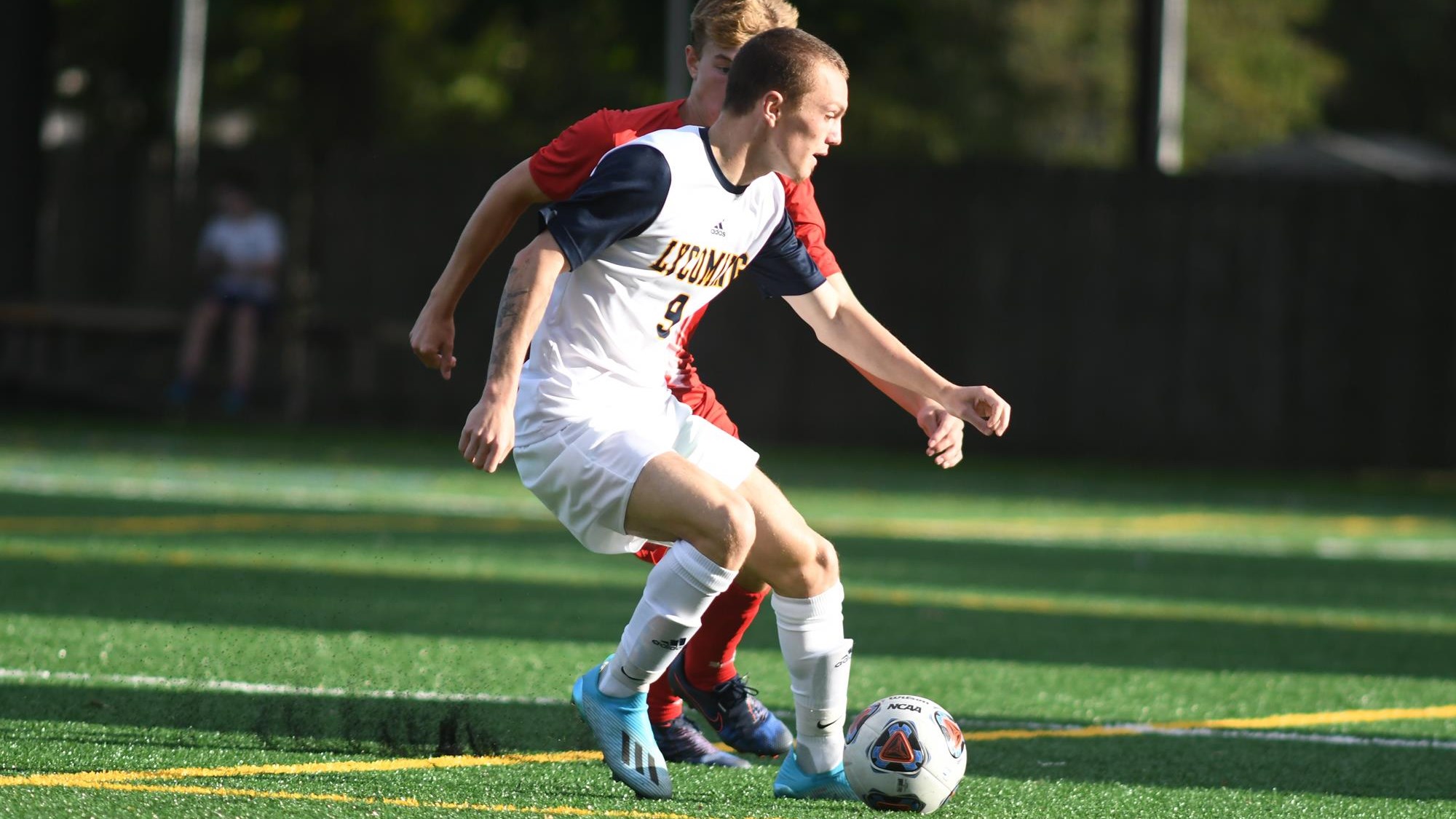 Alex Henry - 2020 - Men's Soccer - Lycoming College Athletics