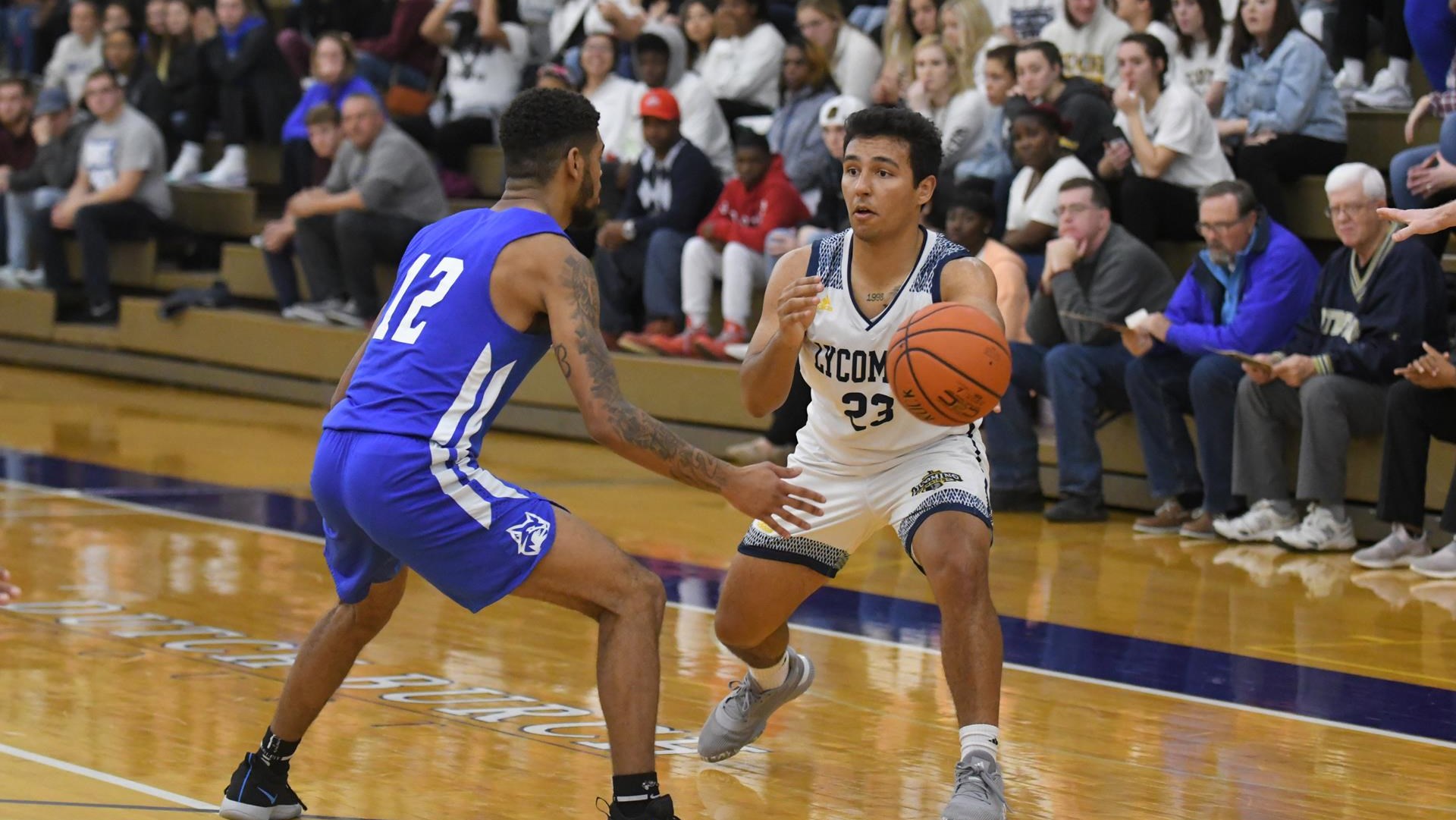 Ryan Hollis - 2019-20 - Men's Basketball - Lycoming College Athletics