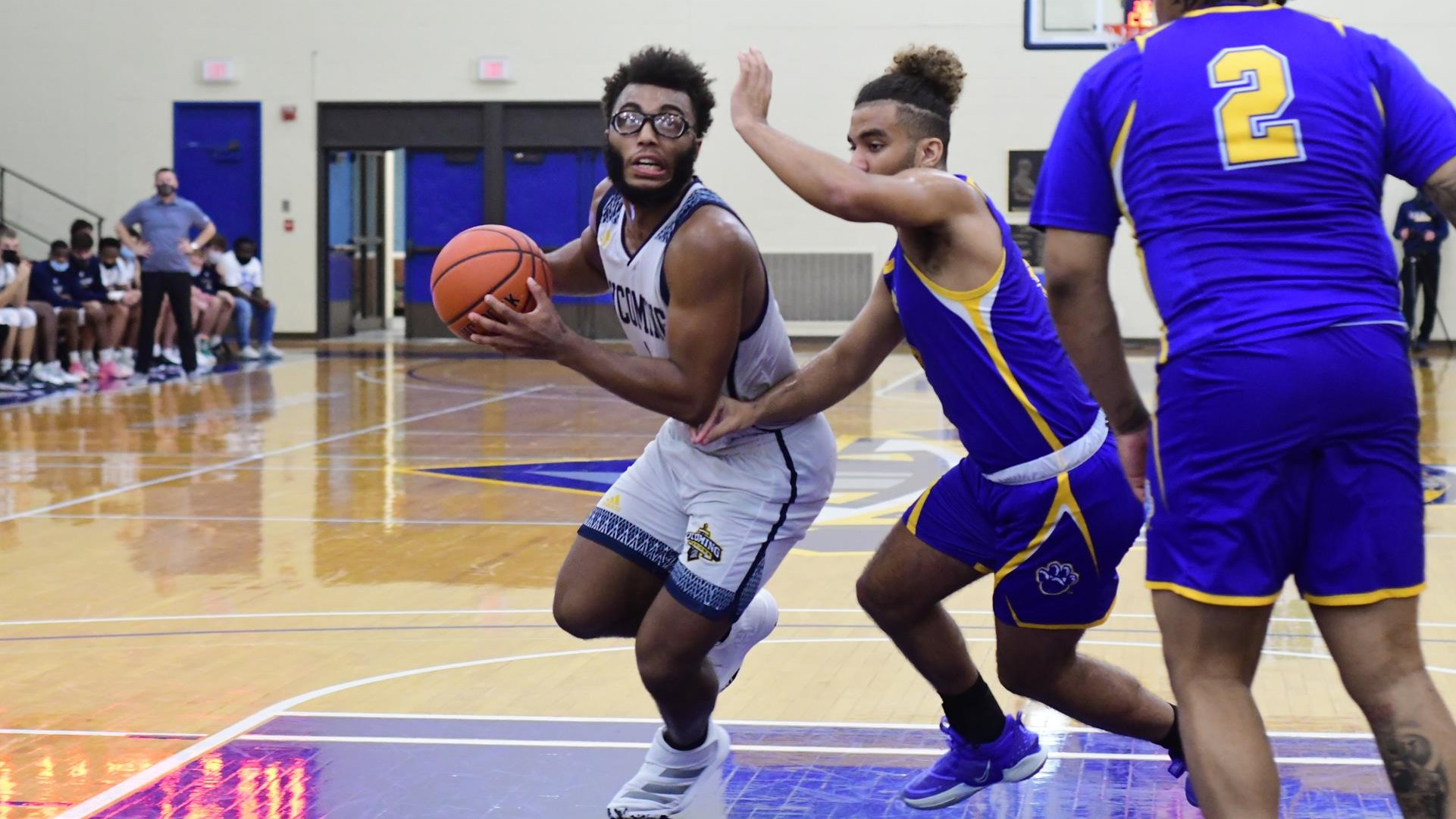 Five in double figures as Warriors down Delaware Valley - Lycoming ...