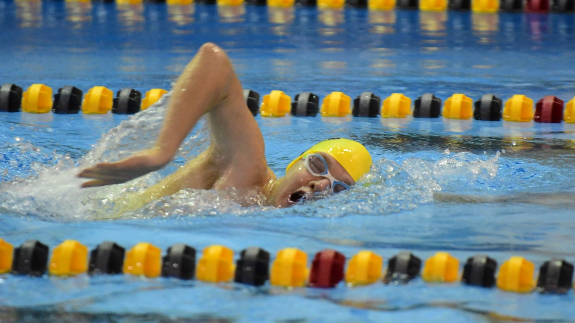 Caleb Reigle - 2022-23 - Men's Swimming - Lycoming College Athletics