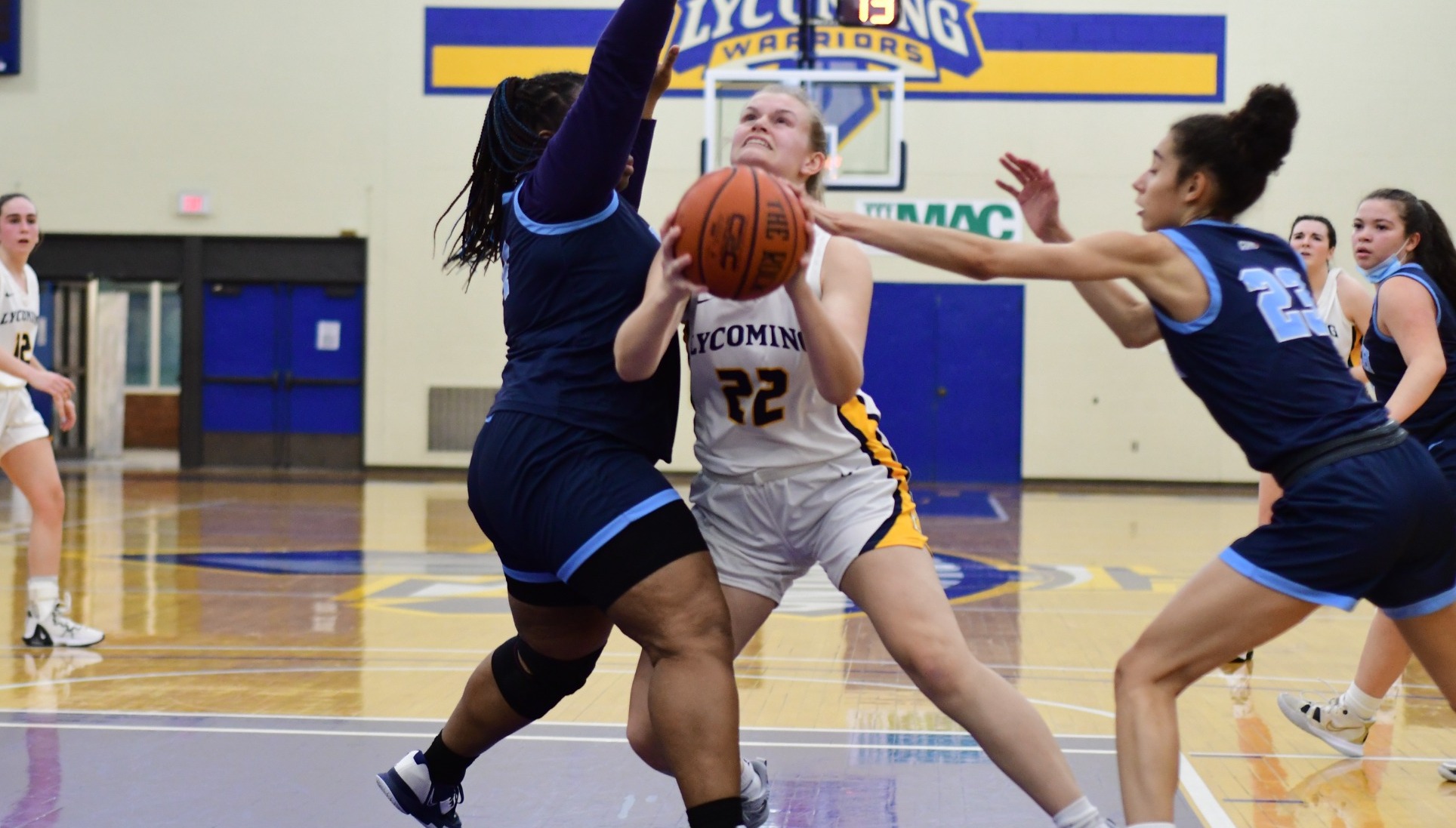 Emily Lockard - 2023-24 - Women's Basketball - Lycoming College Athletics