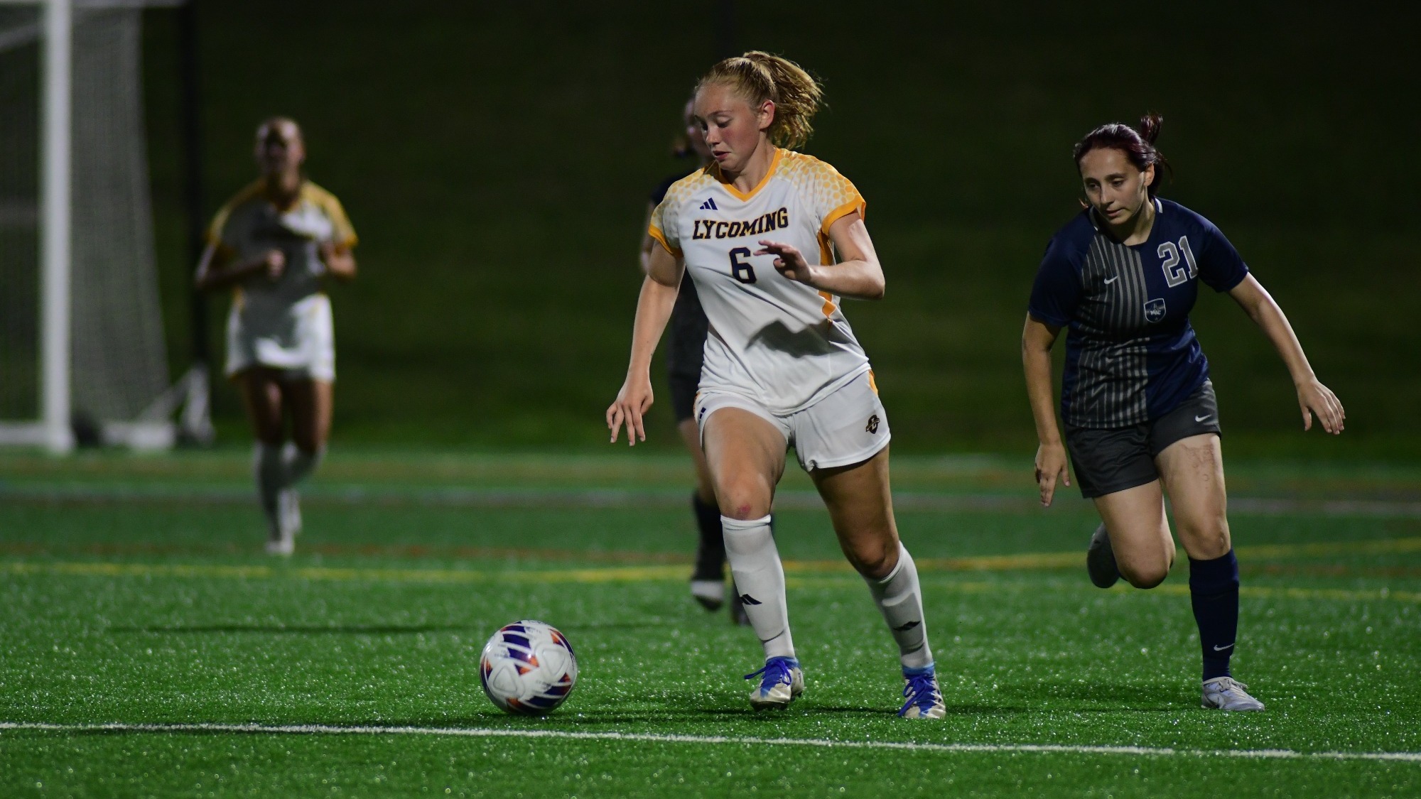 Warriors down Elmira in non-conference play - Lycoming College Athletics