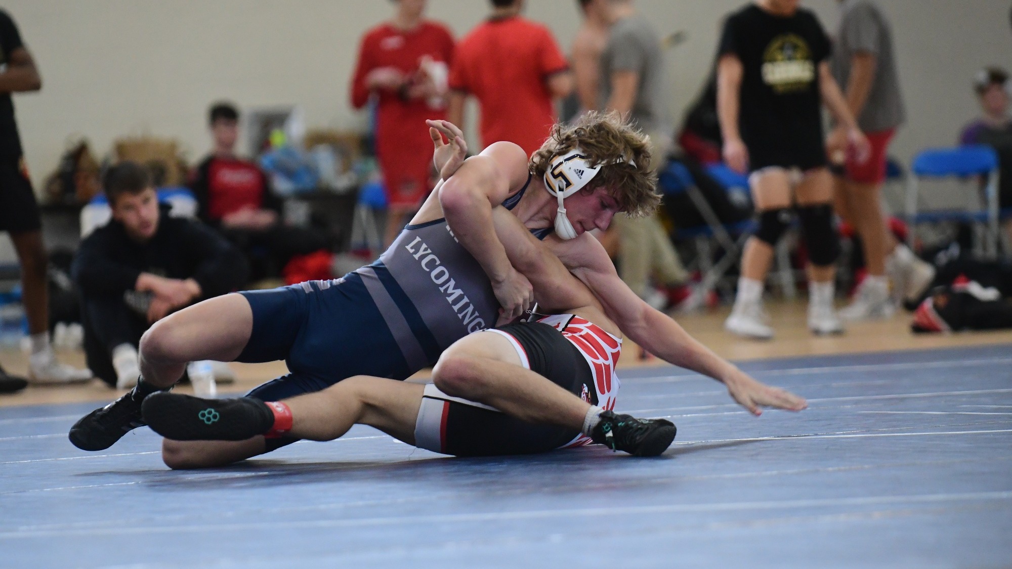 Cooper Gilham - 2023-24 - Wrestling - Lycoming College Athletics