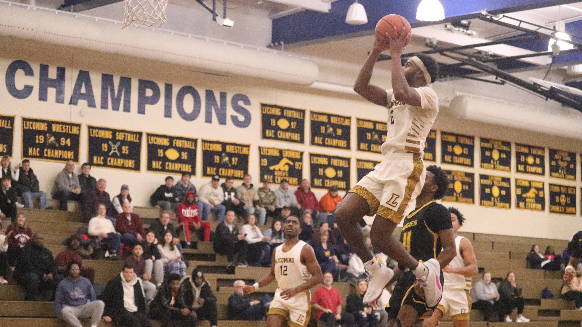 Steven Hamilton - 2023-24 - Men's Basketball - Lycoming College Athletics